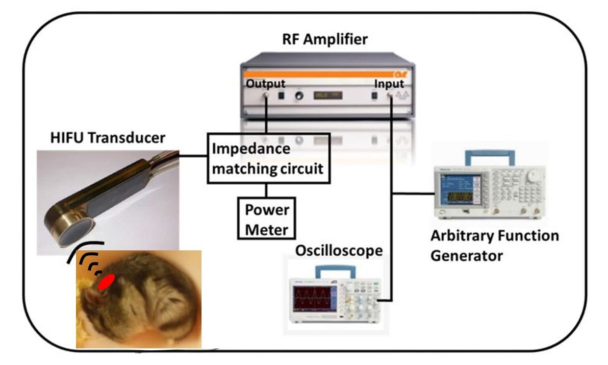 Lab Instruments – Photoacoustic and Ultrasound Imaging Laboratory